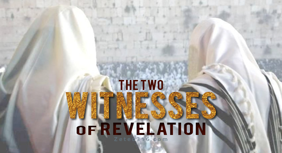 The Two Witnesses - Life in a Dying World
