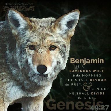 What happened to the tribe of Benjamin? Is History repeating itself?